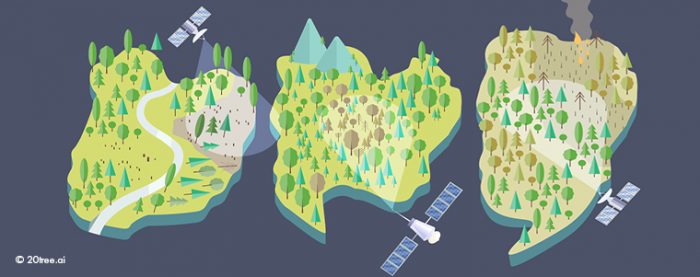 Detecting forest threats with Artificial Intelligence – AZO – Space of ...