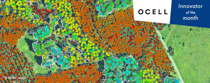 OCELL – Digitising Forest Management by Analysing Aerial Imagery – AZO ...